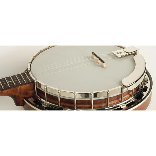 Recording King RK-R25 Banjo - Folkmusician